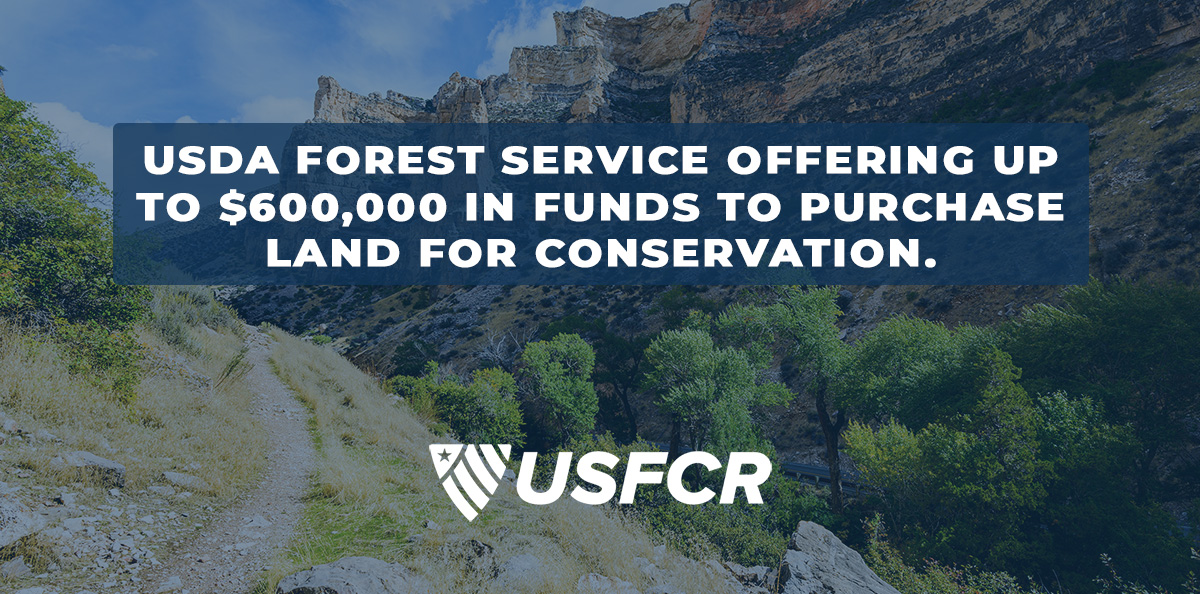 Discover the Latest Hot Federal Grants with USFCR
